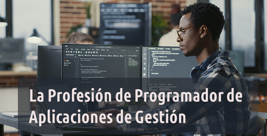 La Profesión de Programador de Aplicaciones de Gestión
